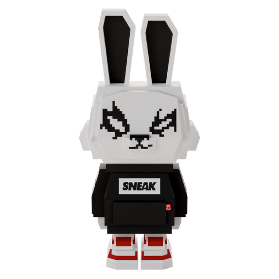 Accessories – Sneak US